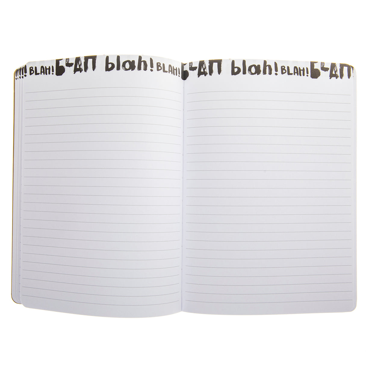 Notebooks, Journals, Sketchbooks – Mint Museum Store